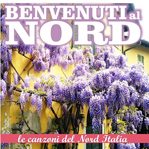 Play Benvenuti al nord by VARIOUS ARTISTS on Amazon Music