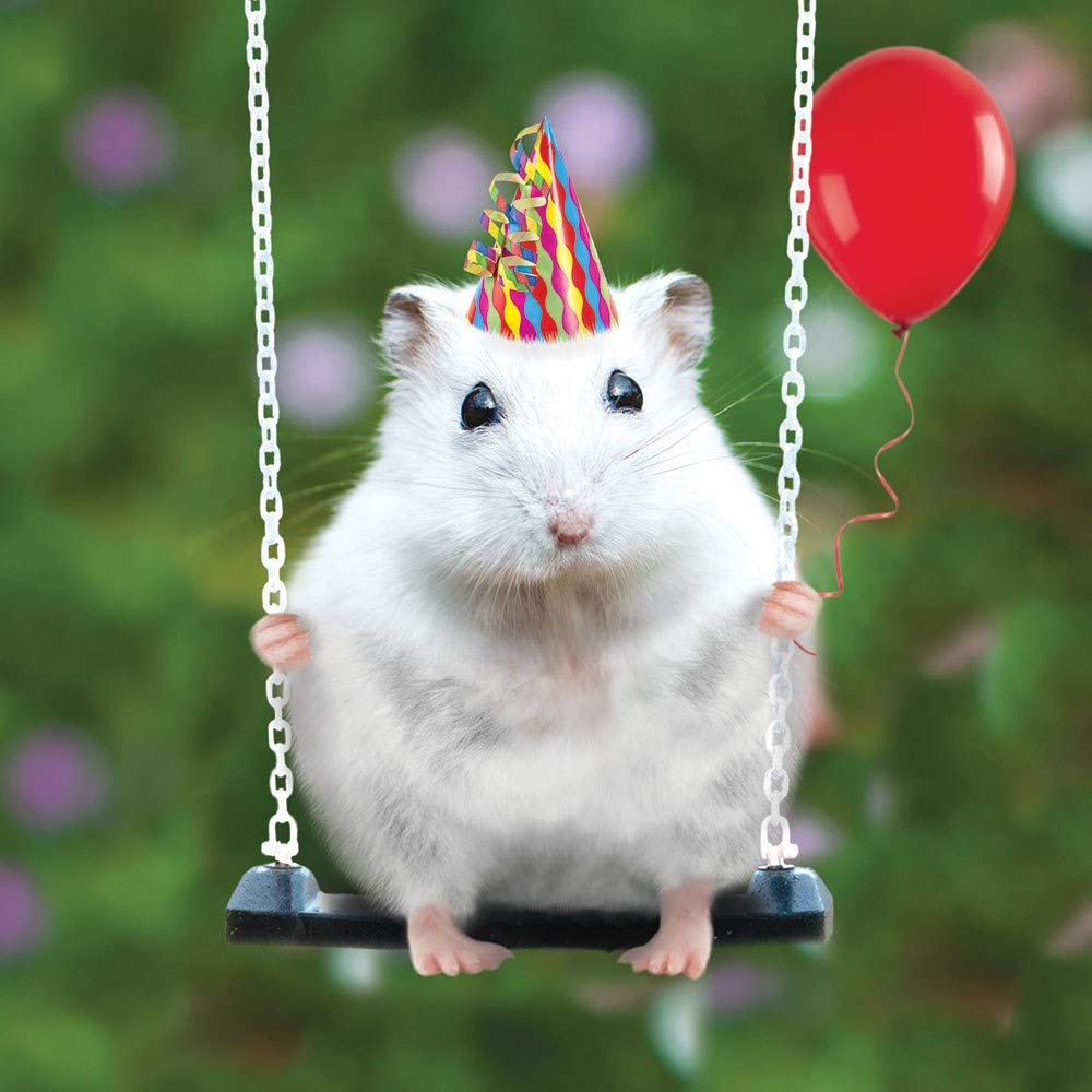 Birthday Hamster