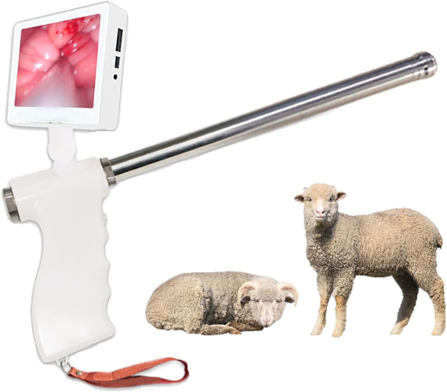 Instrumento de pistola de inseminación artificial para ovejas, pistola ...