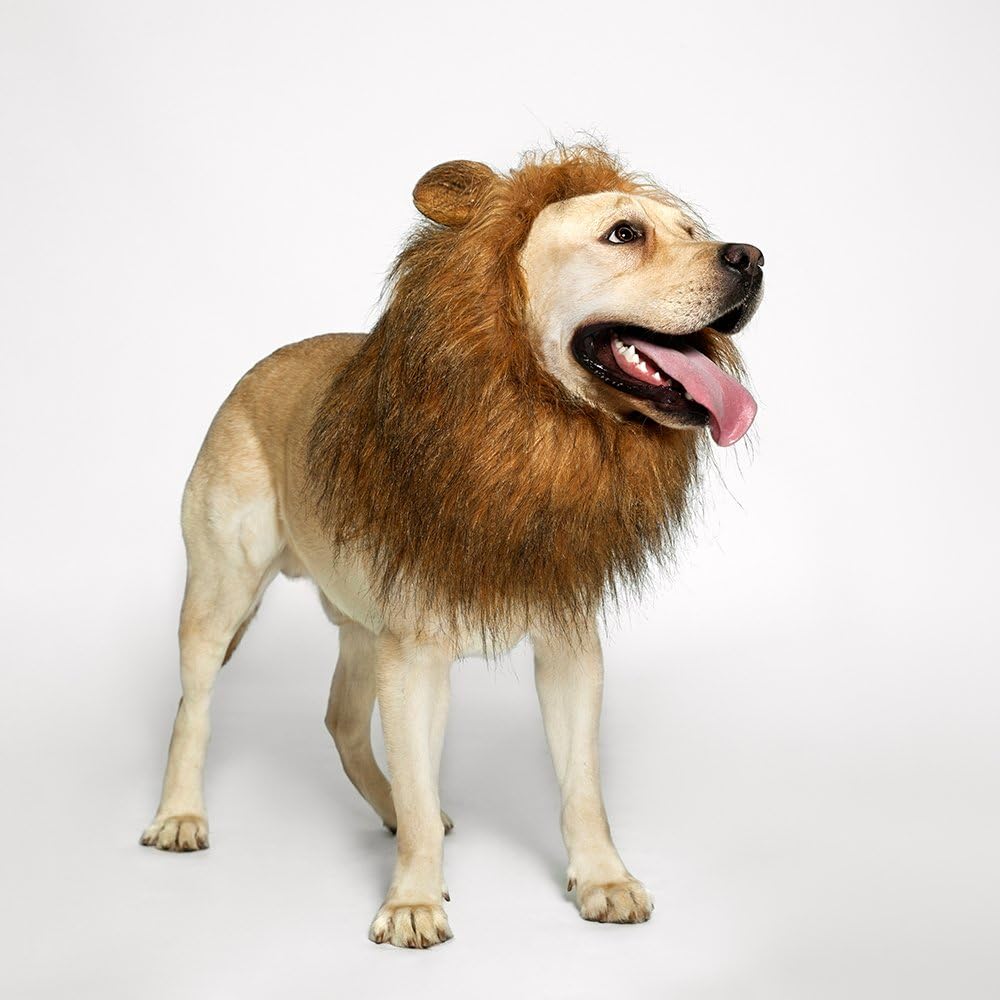 Amazon.com : CPPSLEE Lion Mane for Dog Costumes, Realistic Wig for ...
