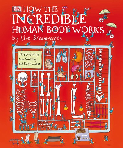 How the Incredible Human Body Works . . . By the Brainwaves: Walker ...