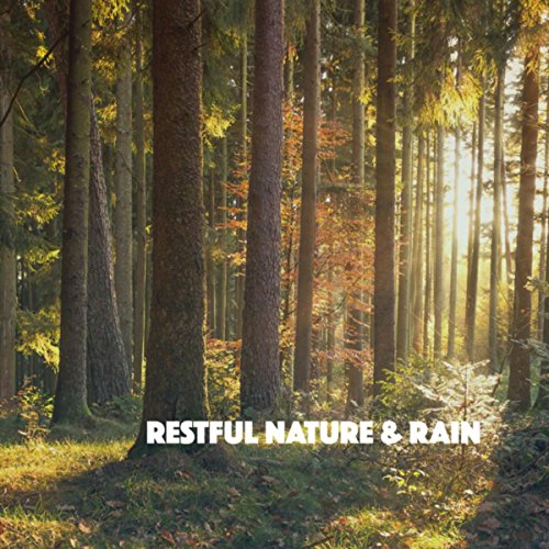 Amazon.com: Restful Nature & Rain : Rain Sounds Nature Collection, Rain ...