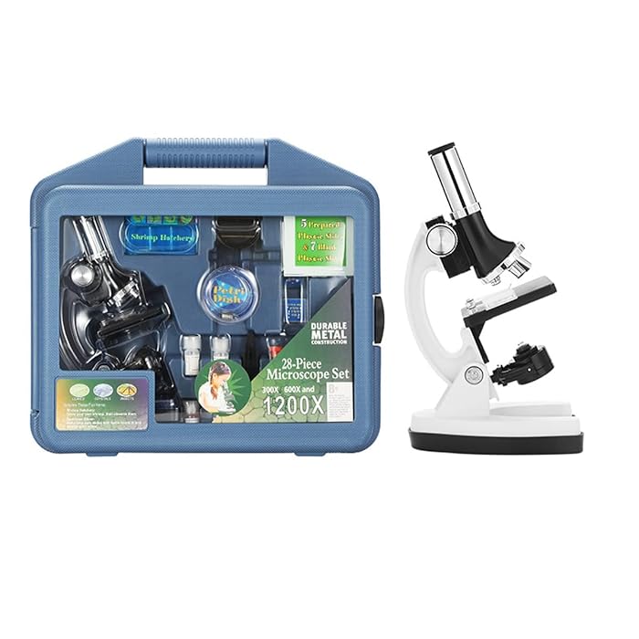 Buy 1200x Student Microscope Double Led Biomicroscope Set with 12 ...