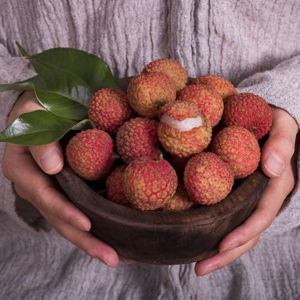 5pcs Lychee Seeds Grow Year Round Low Maintenance Fruit Outdoor Garden ...