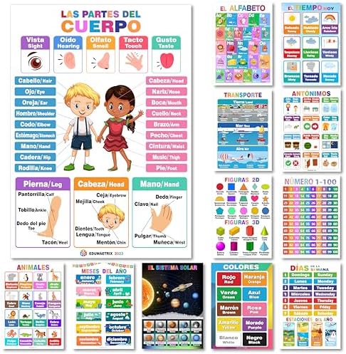 Amazon.com: 12 Spanish English Bilingual Educational Posters Water ...