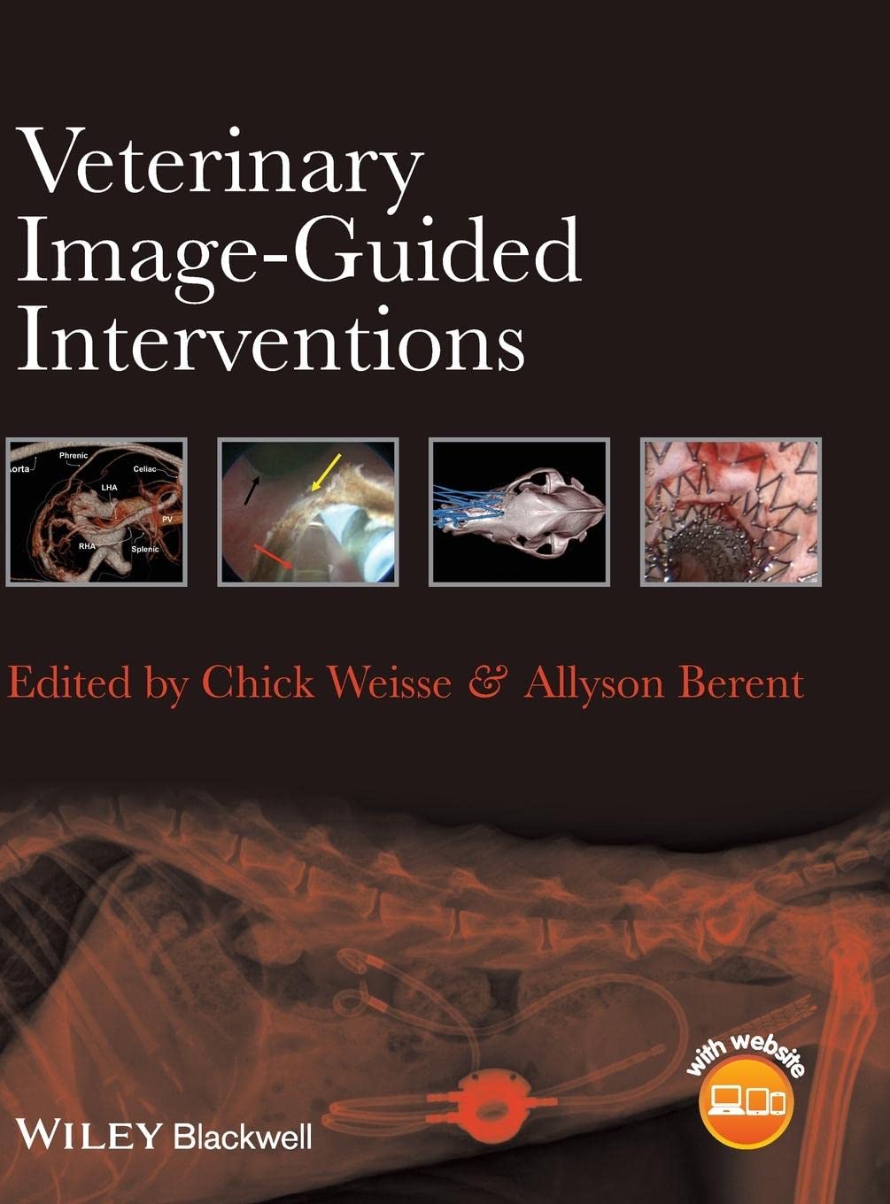 Veterinary Image-Guided Interventions: 9781118378281: Medicine & Health ...