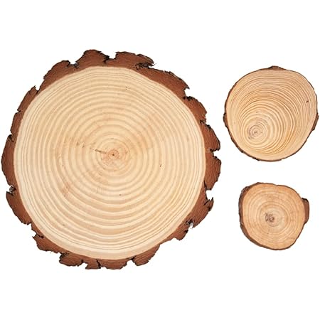 Amazon.com: Craft County Wooden Pine Disc – Rustic Crafting and Décor ...
