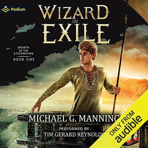 Amazon.com: Wizard in Exile: Wrath of the Stormking, Book 1 (Audible ...