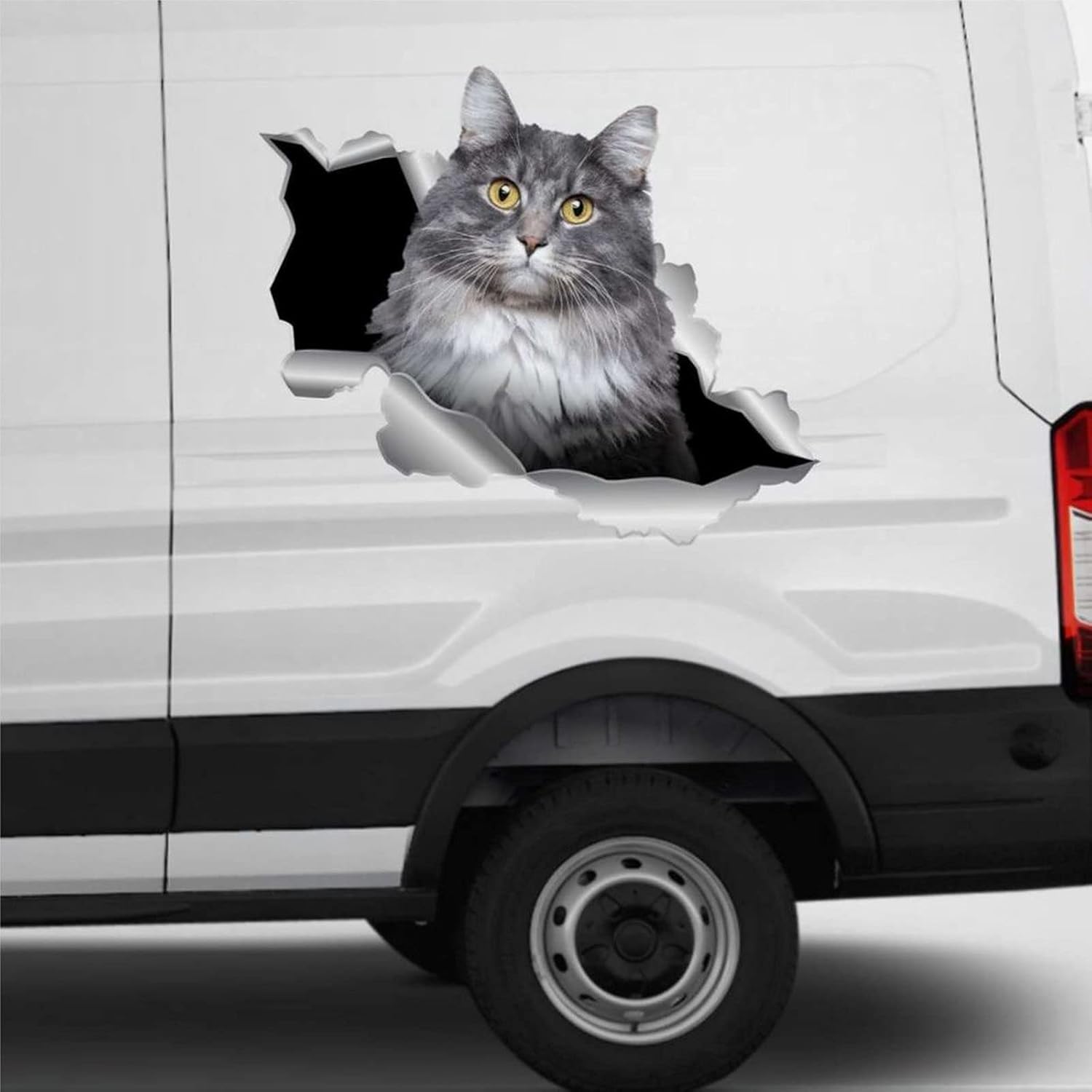 Amazon.com - ArogGeld Gray Cat StickerCar Cat Decal Car Stickers Cat ...