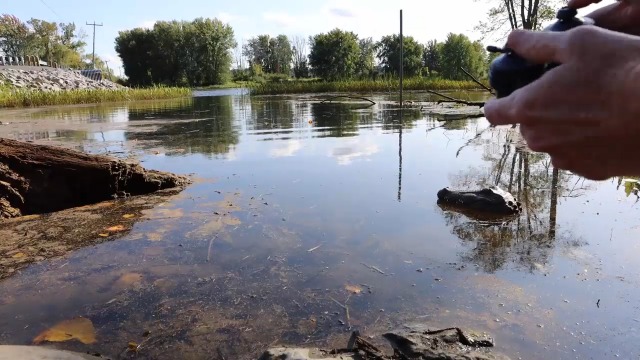 Akargol 2.4 GHz Remote Control Alligator Head Boat RC Boats - Large ...