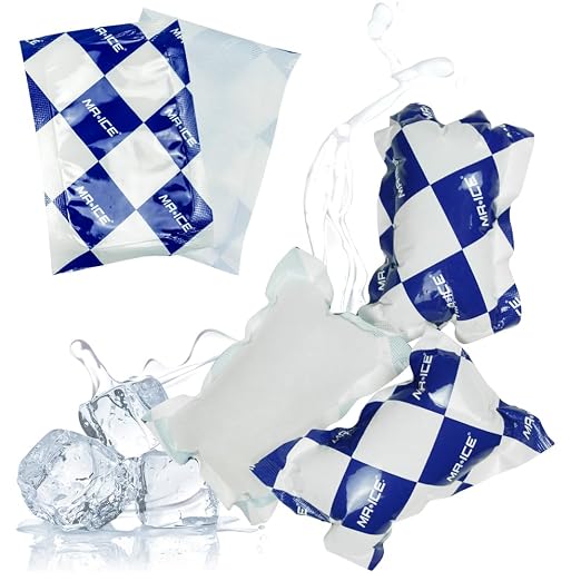 Buy Dry Ice Gel Packs for Shipping Frozen Food - Reusable Dry Ice Packs ...
