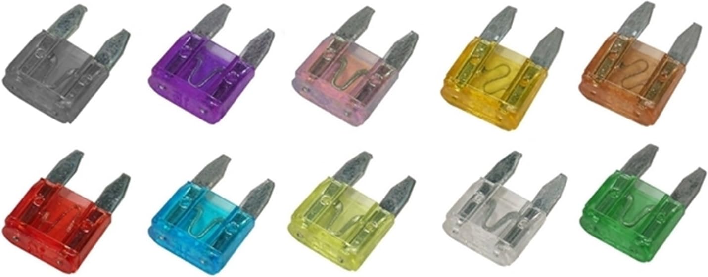 Mini Blade Fuse 12V 2 Amp 2 Pack, LED Bulbs - Amazon Canada