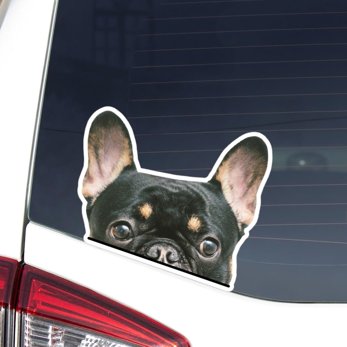 Amazon.com - Black&Tan French Bulldog Face Car Decal, Peeking Realistic ...