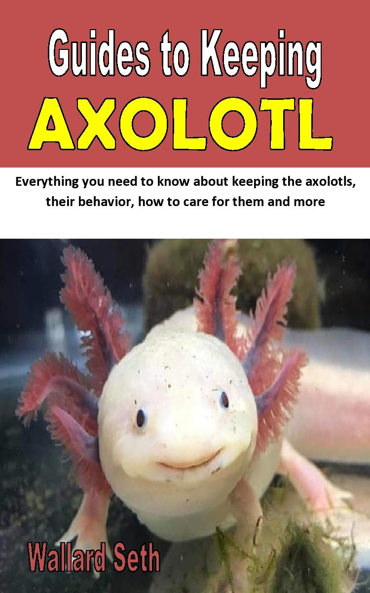 Buy GUIDES TO KEEPING AXOLOTL: Everything you need to know about ...