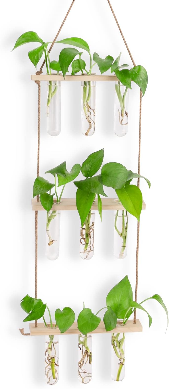 Terrarium Kit Propagation Station for Hydroponic Plants - 3 Tier ...