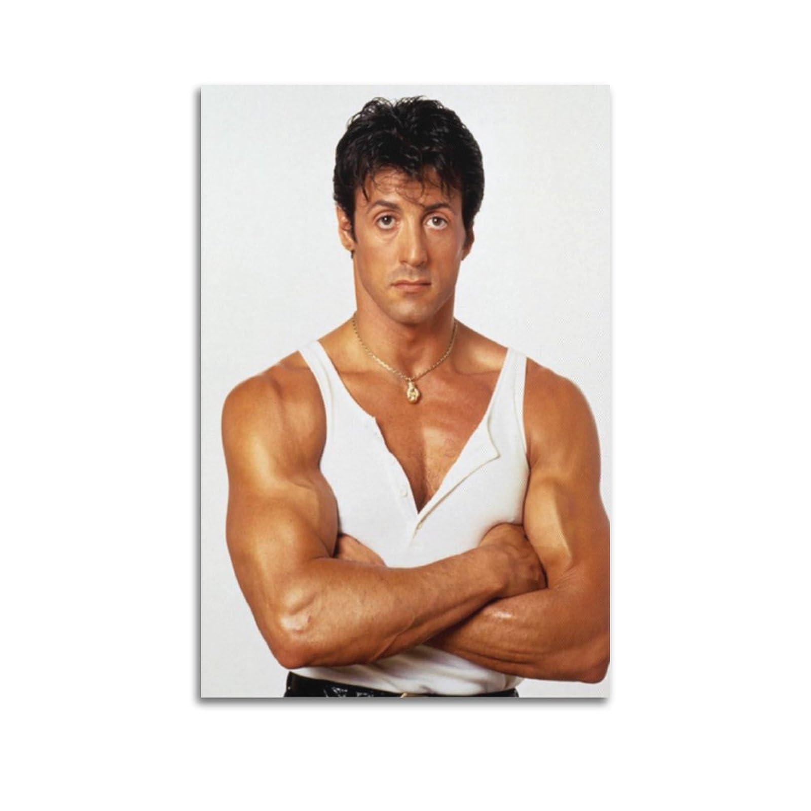 Sylvester Stallone Body Sylvester Stallone, Arnold Schwarzenegger