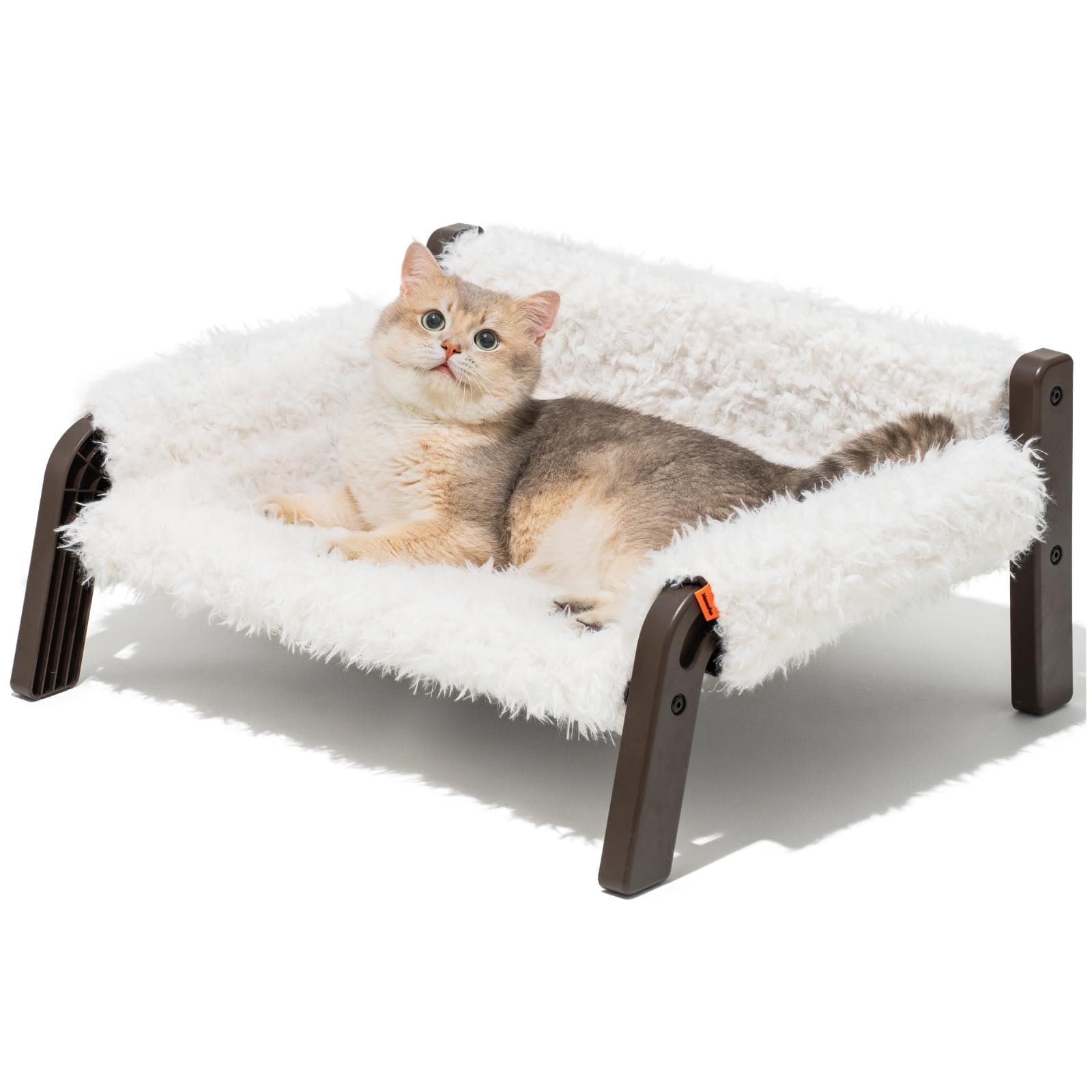 Amazon.com : MEWOOFUN Raised Cat Bed,Cat Sofa Elevated Cat Bed Small ...