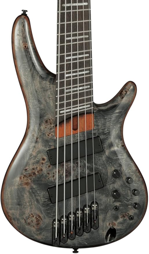 Amazon.com: Ibanez Bass Workshop SRMS806 6-string Multi-scale Bass ...