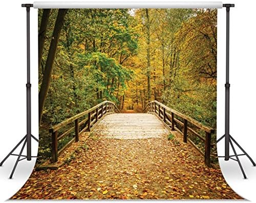 Amazon.com : LYWYGG Fall Backdrop 10x10ft Yellow Leaves Autumn Scenery ...