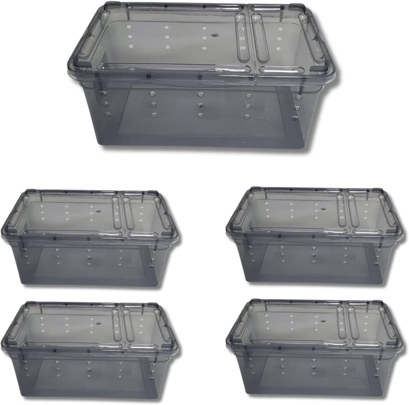 Amazon.com: Jungle Bob - Black Plastic Reptile Terrarium - Easy ...