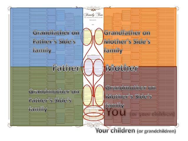 Family Tree Chart 10 Generation 9 Generation Chart – International