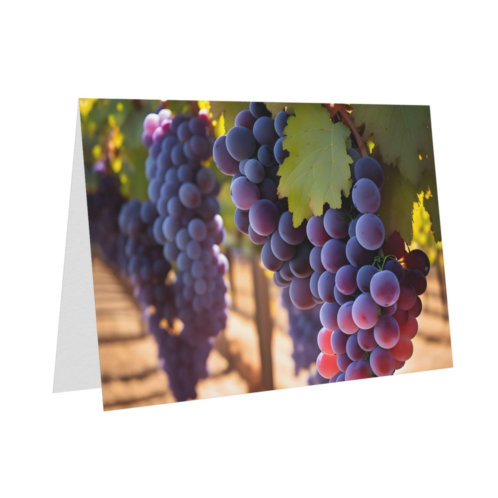 Snapklik.com : STejar Desert Grapes Blank Greeting Cards