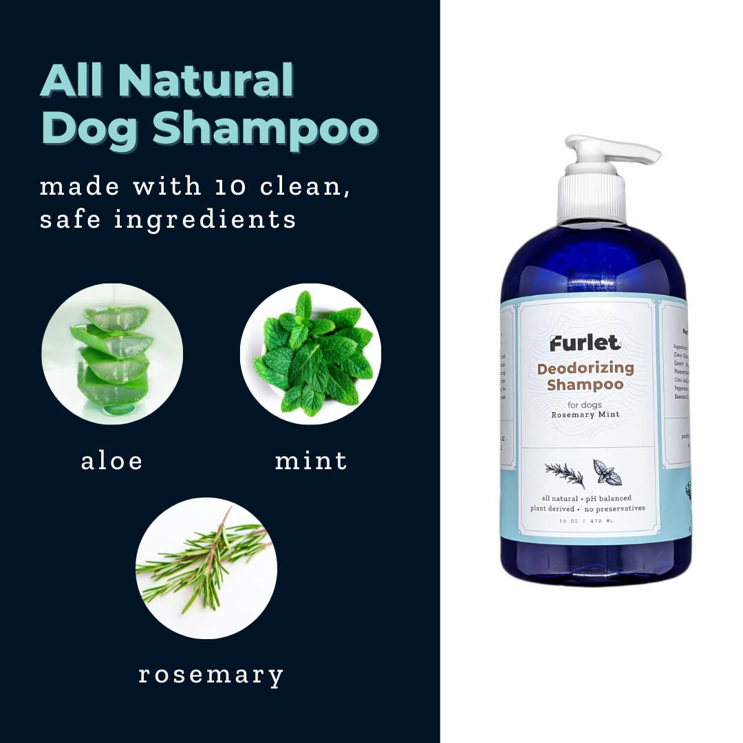 Are Rosmary And Mint Safe For Dogs