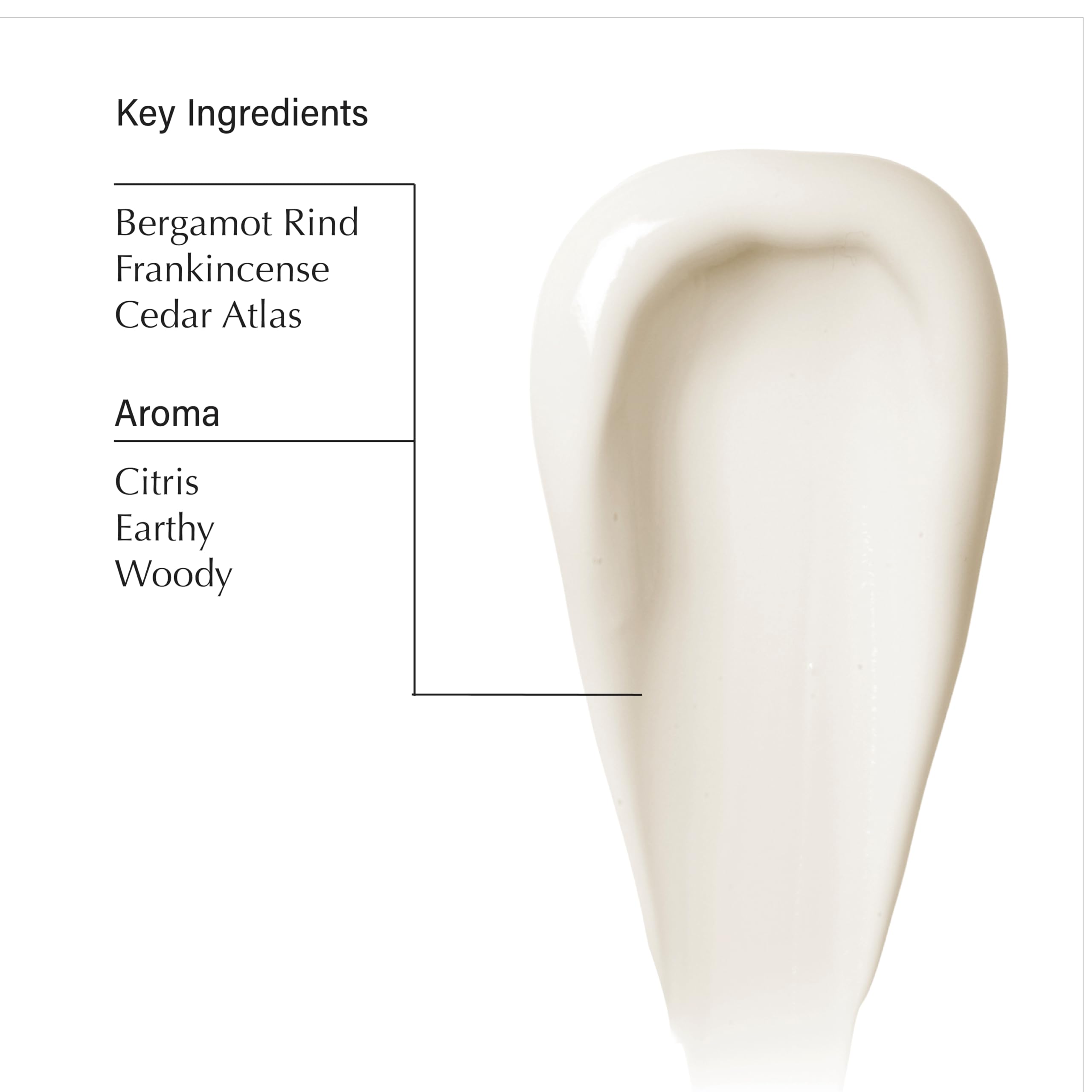 Snapklik.com : Aesop Shampoo And Conditioner Set Bergamot Rind ...