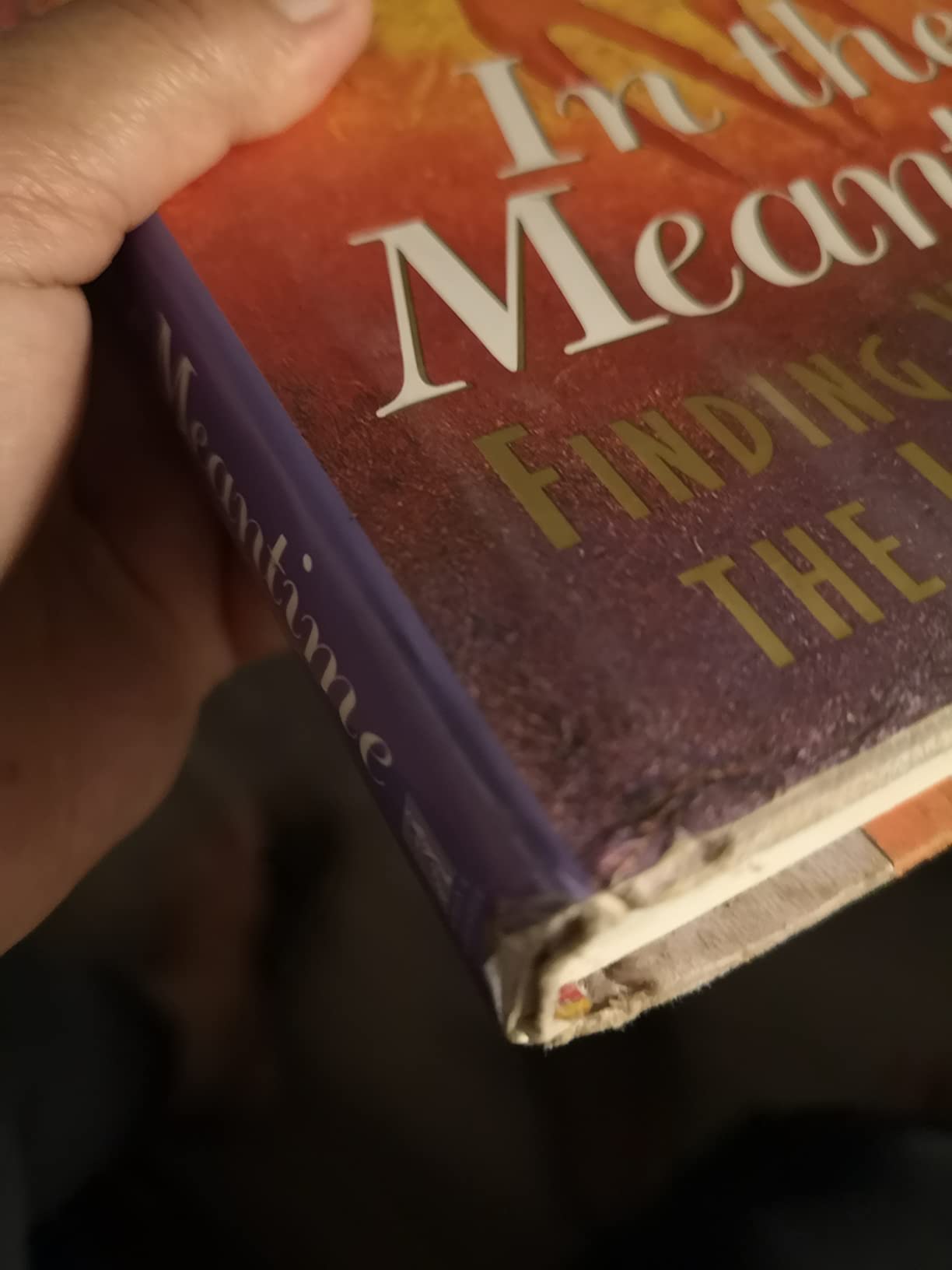 Buy Read by the Author (In the Meantime: Finding Yourself and the Love ...