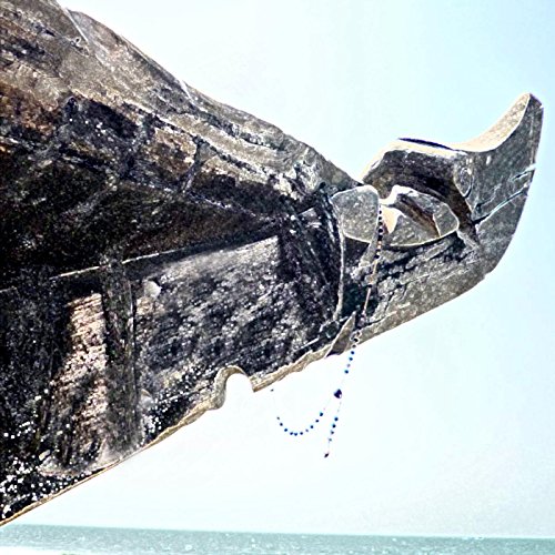 Amazon.com: So Far Beyond : Gavin Brown, Eric Fantich & Matthew Haar ...