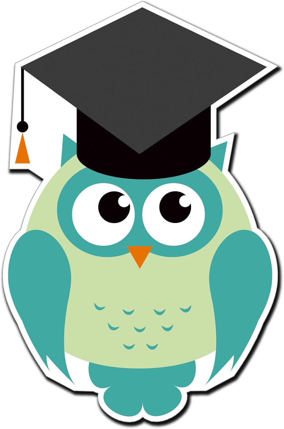 Amazon.com: 2 x Graduation Owl Vinyl Stickers