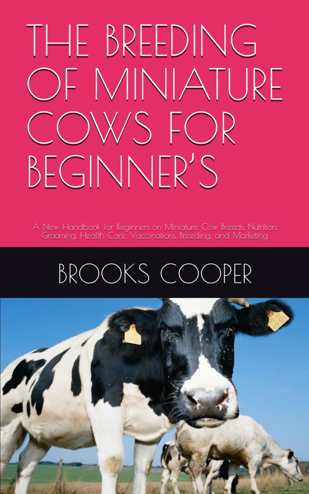 THE BREEDING OF MINIATURE COWS FOR BEGINNER’S: A New Handbook for ...