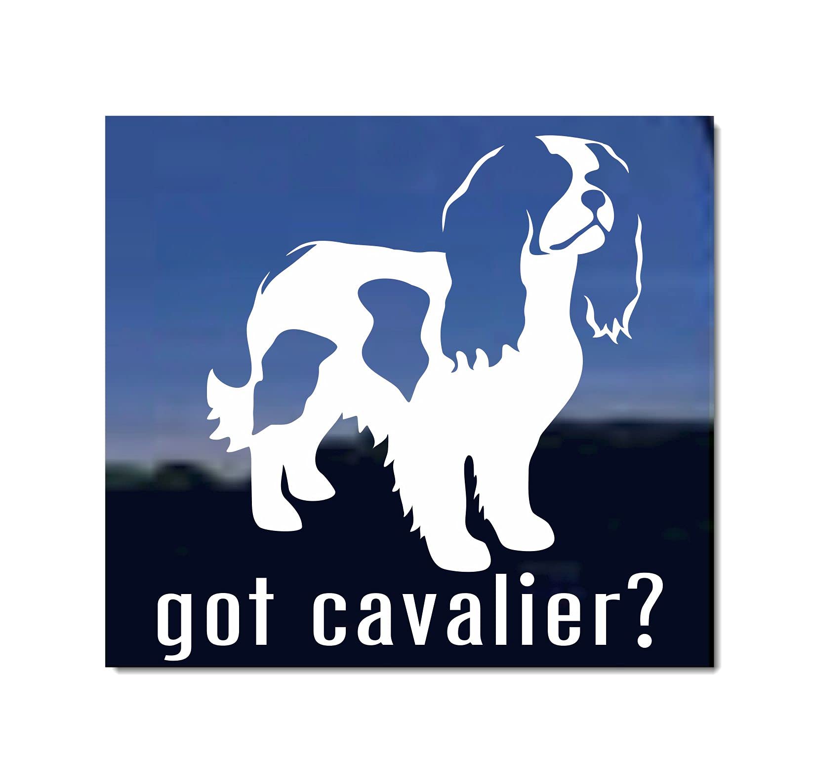 Amazon.com - Got Cavalier? Vinyl Window Decal Sticker - Automotive Decals