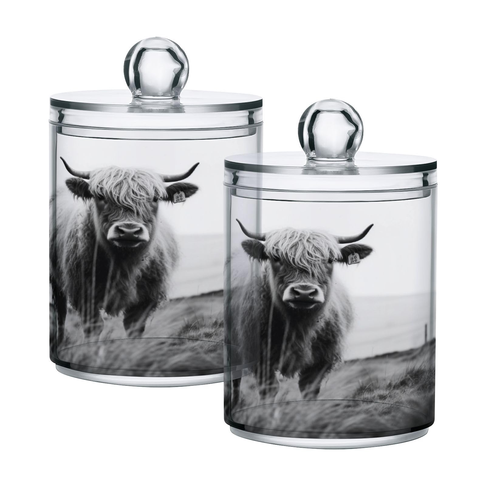Amazon.com: Zhirexin Highland Cow 2PC Airtight Transparent Plastic ...