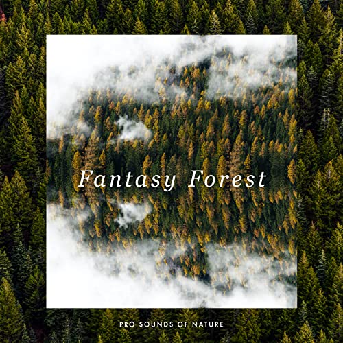 Amazon.com: Fantasy Forest : Pro Sounds Of Nature: Everything Else