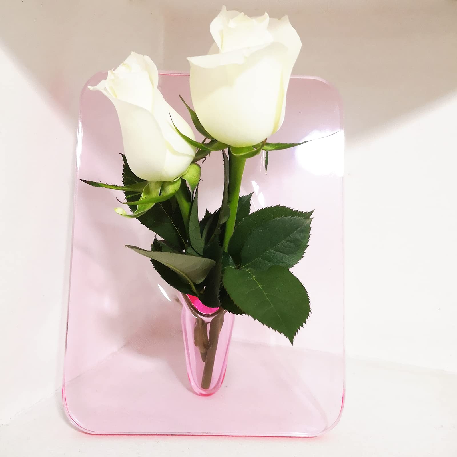 Snapklik.com : 2 Pack Acrylic Photo Frame Vases, Clear Frame Vase For ...