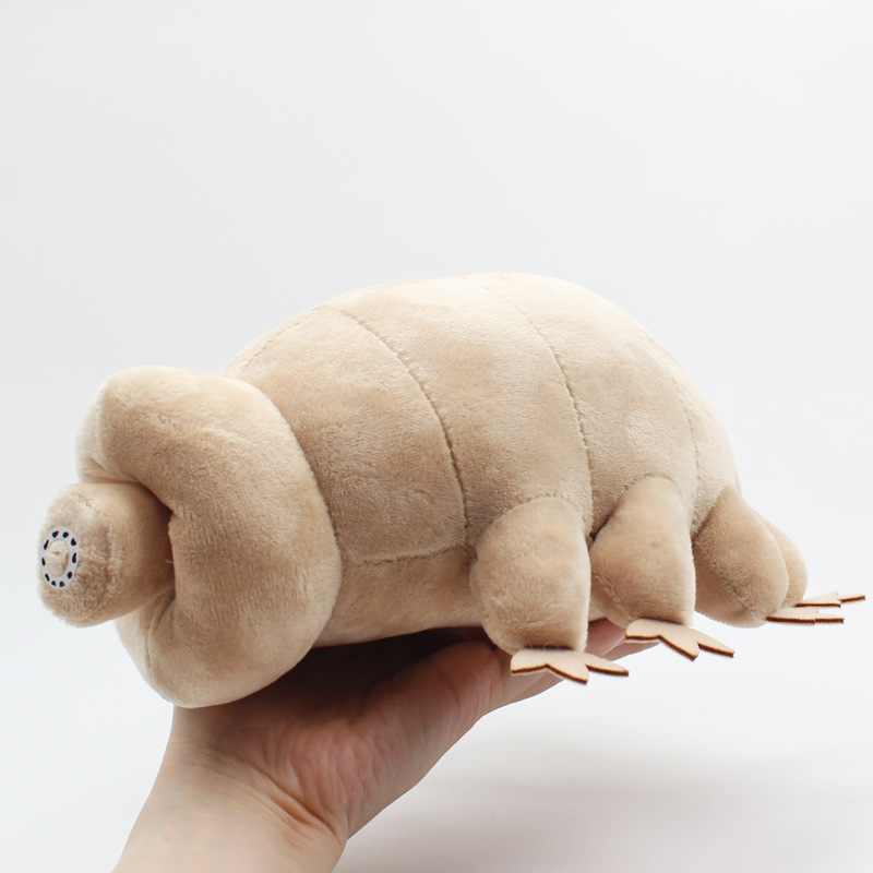 Watch Tardigrade Plush Water Bear on Amazon Live