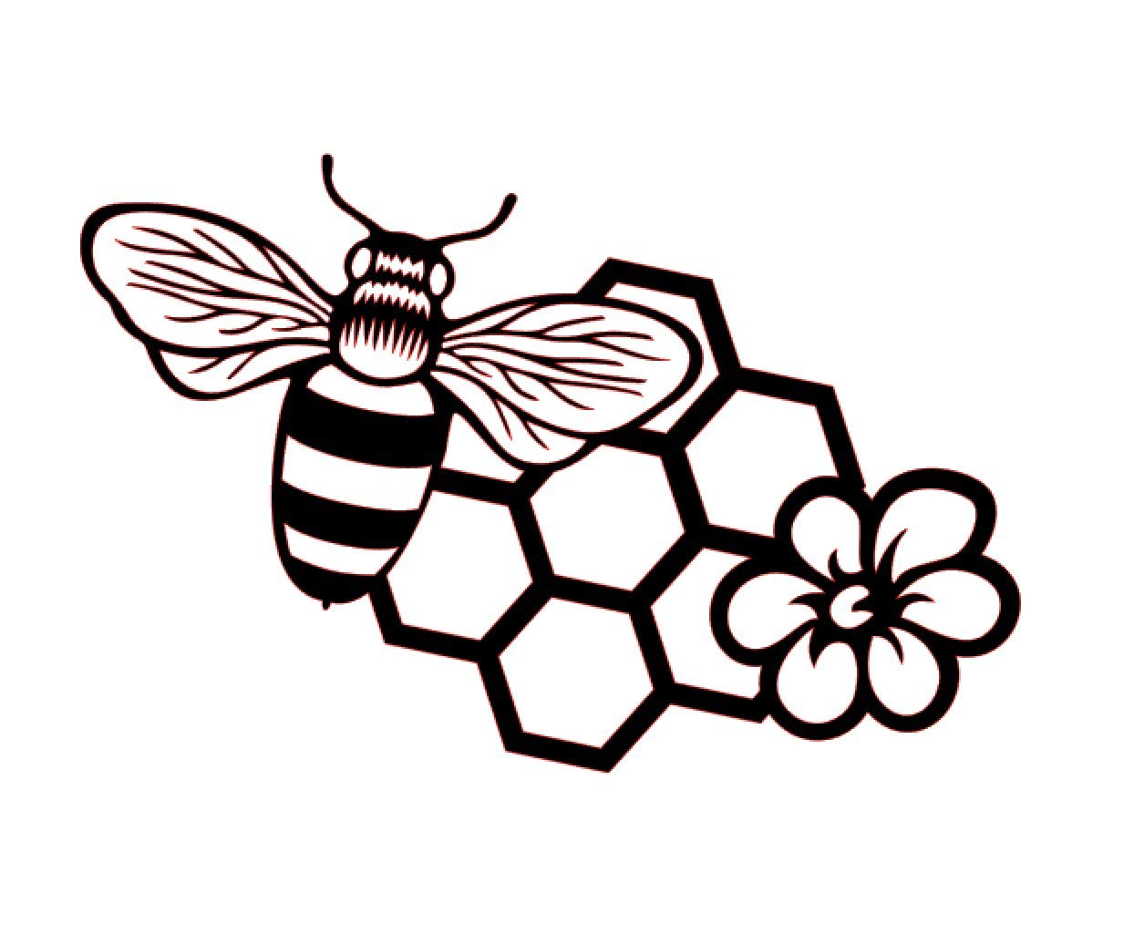 Amazon.com: Custom Bee Honeycomb Vinyl Decal - Honey Bee Bumper Sticker ...