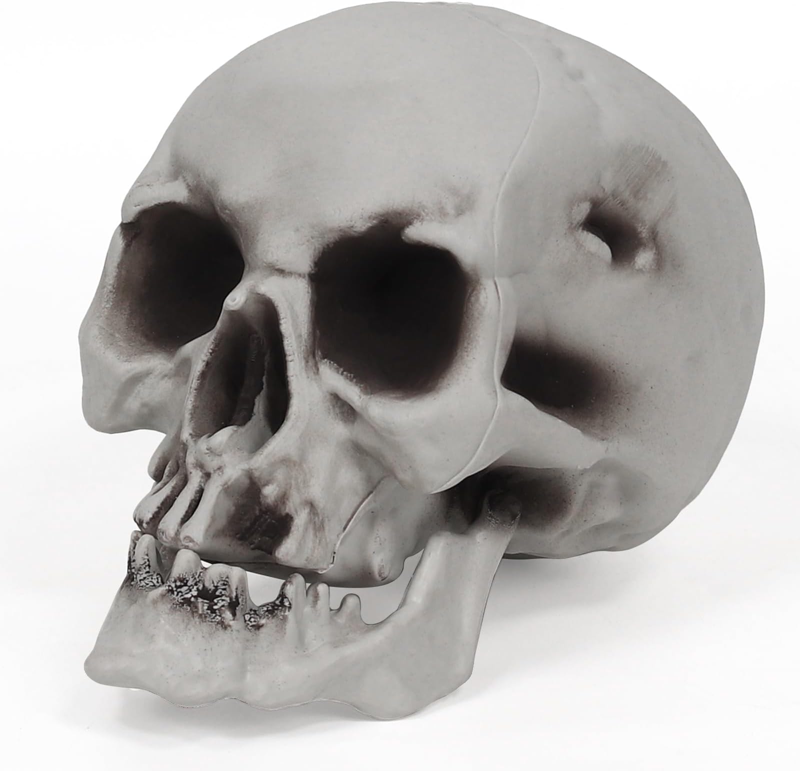 Amazon.com: DWK 8" De Mortuis Actual Size Faux Human Skull Decor ...