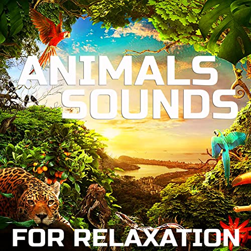 Play Animals Sounds for Relaxation by Animals Sounds for Relaxation ...