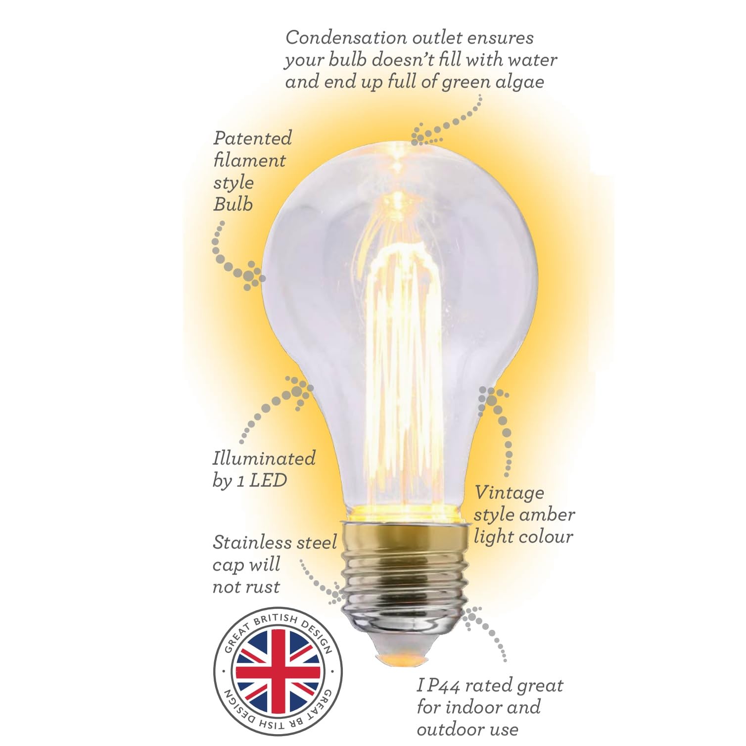 Anatomy Of A Light Bulb