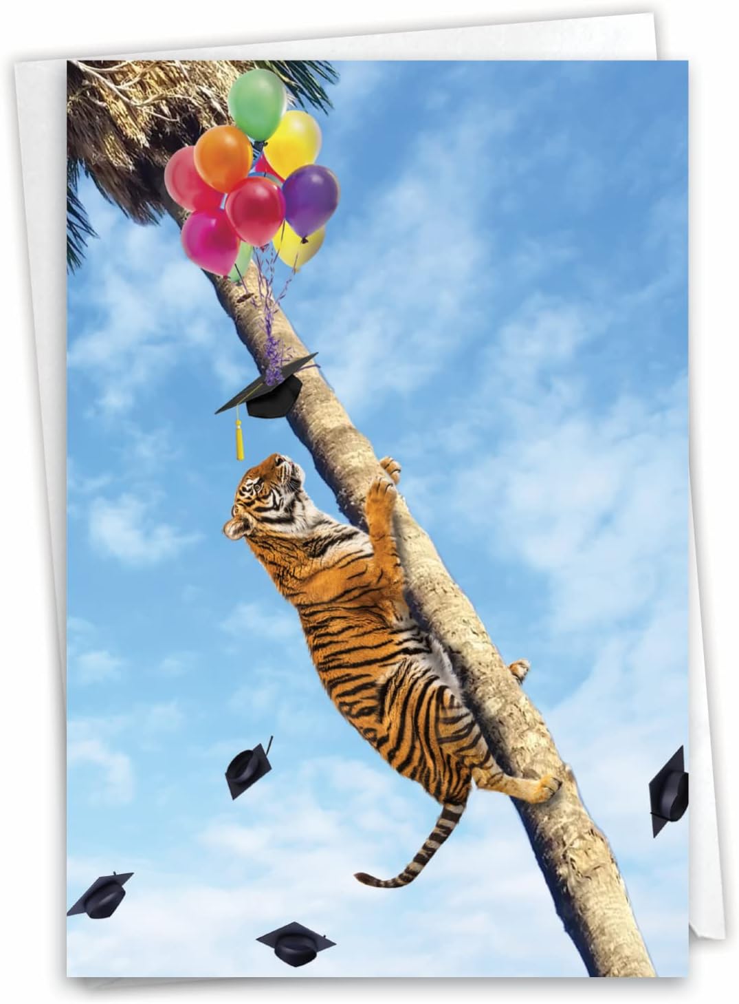 Amazon.com : NobleWorks Graduation Greeting Card (Graduate) with 5 x 7 ...