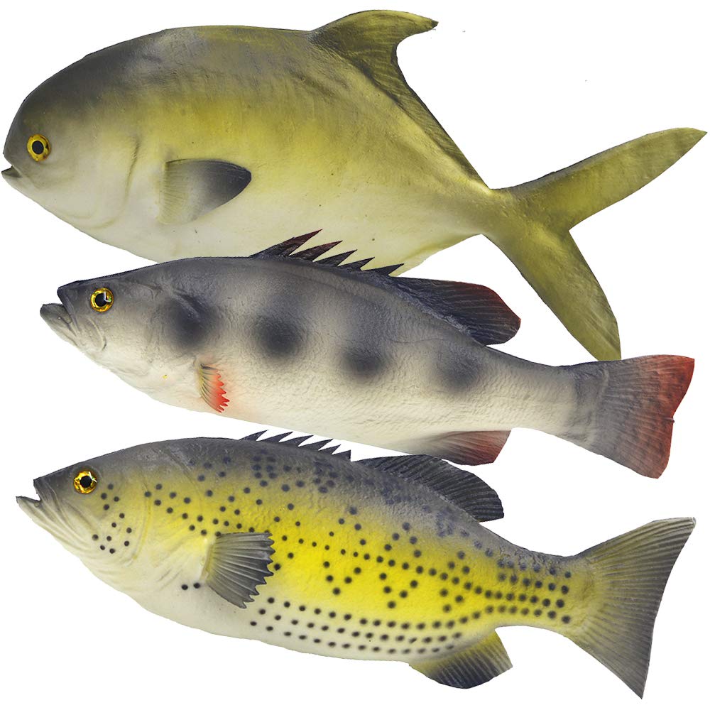 Amazon.com: Ailejia 3pcs Simulated Animal Fake Fish Model for Home ...