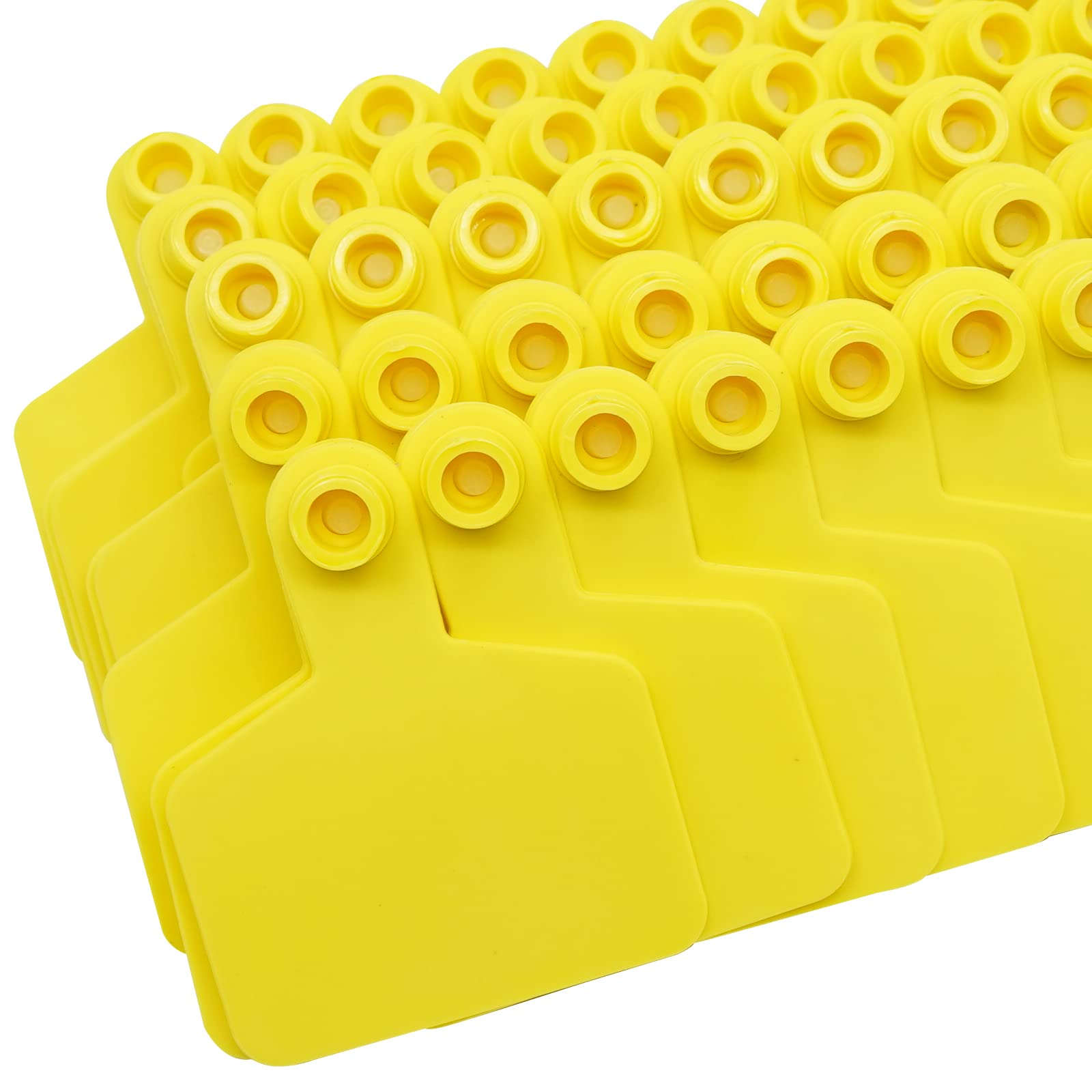 Buy MOGOULUA 100pcs Blank Ear Tags for Cattle Livestock Lables Ear Tags ...