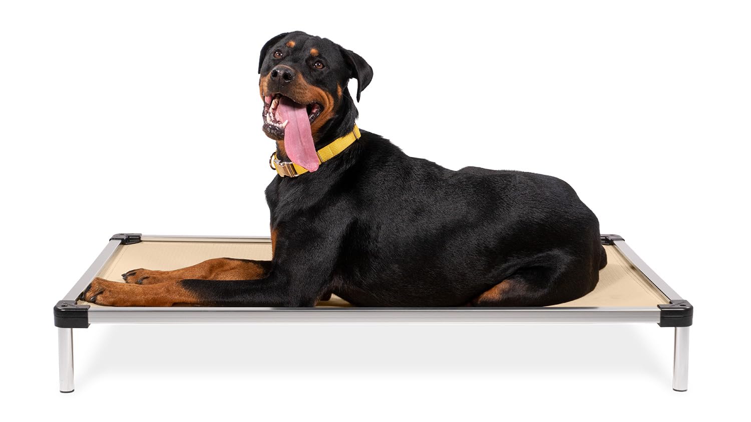 Amazon.com : K9 Ballistics Chew Proof Elevated Dog Bed - Made for ...