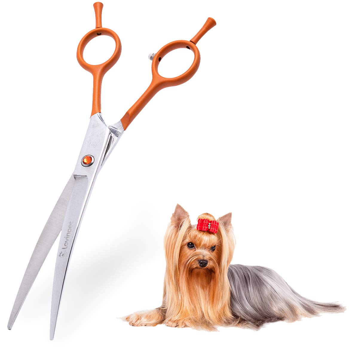 Are Cats And Dogs Handed Or Right Handed