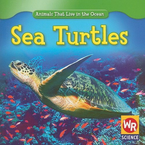 Amazon.com: Sea Turtles (Animals That Live in the Ocean): 9780836893434 ...