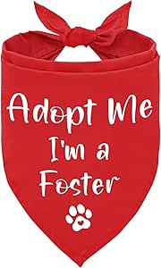 Amazon.com : Cgvovgr Adopt Me I’m A Foster Bandana, Adopt Me Pet Dog ...