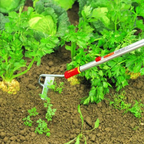 Buy Wolf-Garten 2356000 HU-M 10 Dutch Hoe-Hand Tool Online at ...