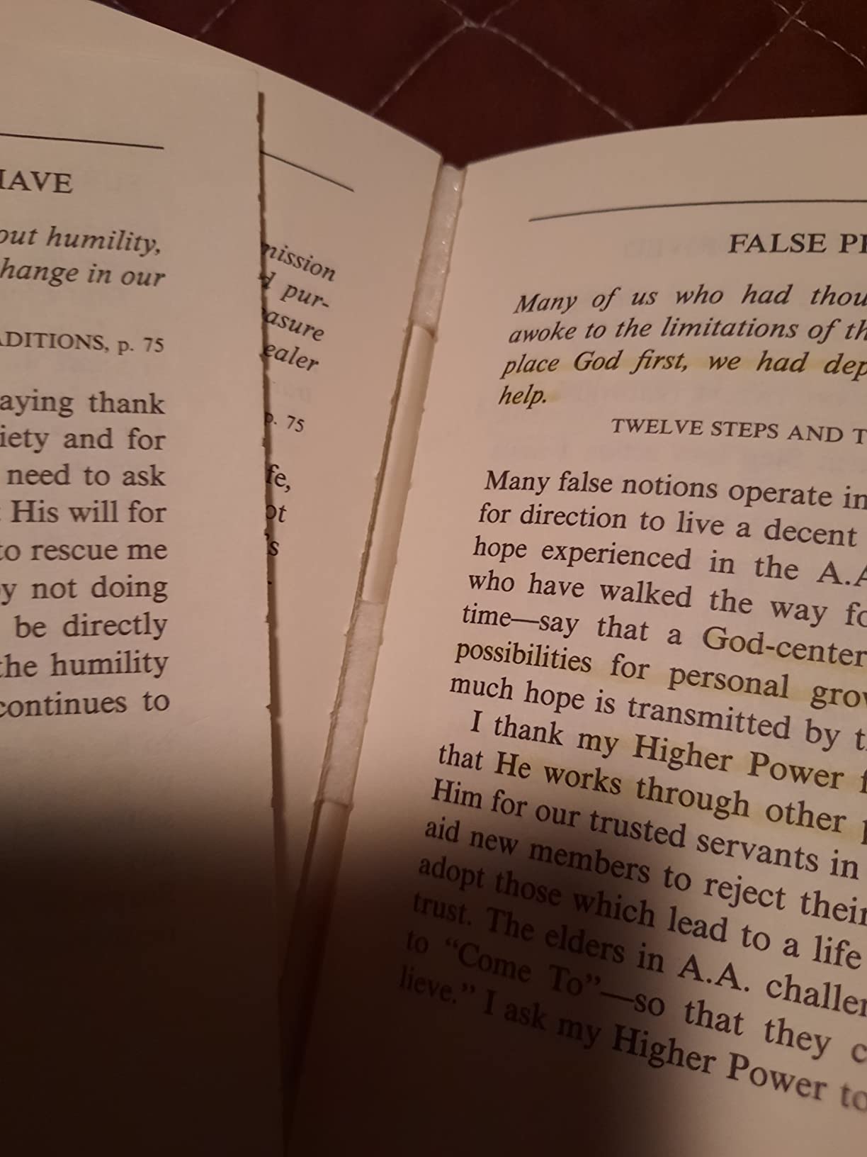 Daily Reflections: A Book of Reflections by A.A. Members for A.A ...